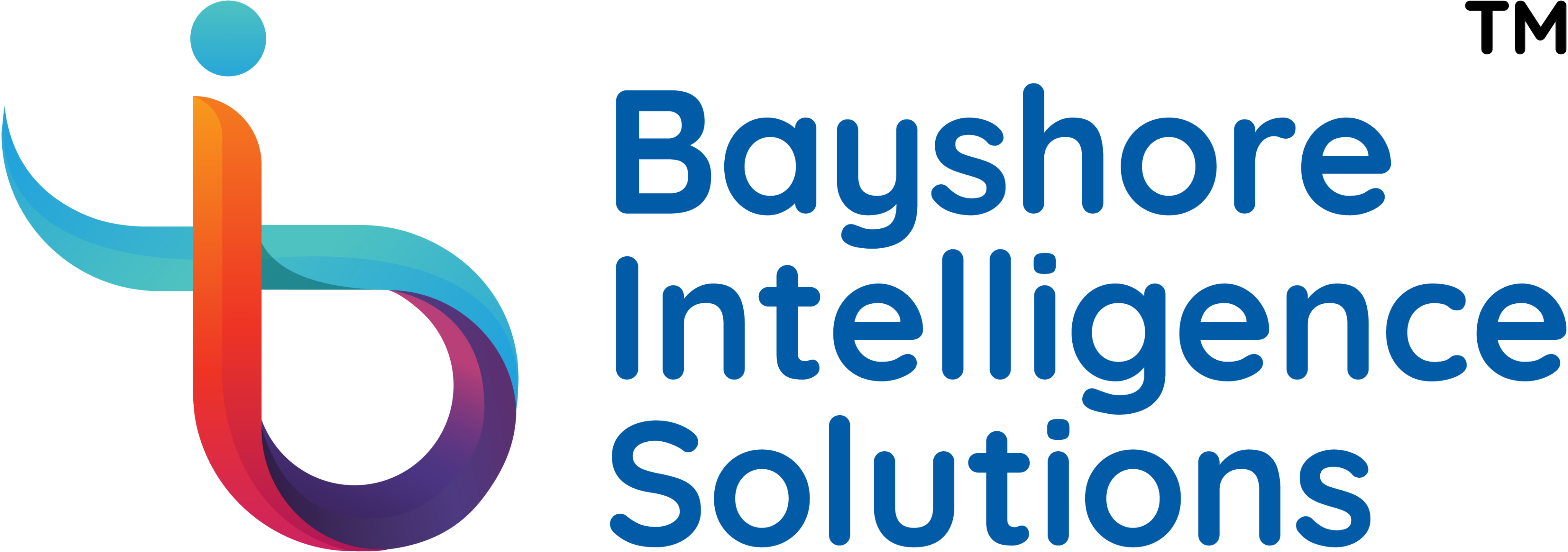 Bayshore Intelligence Solutions